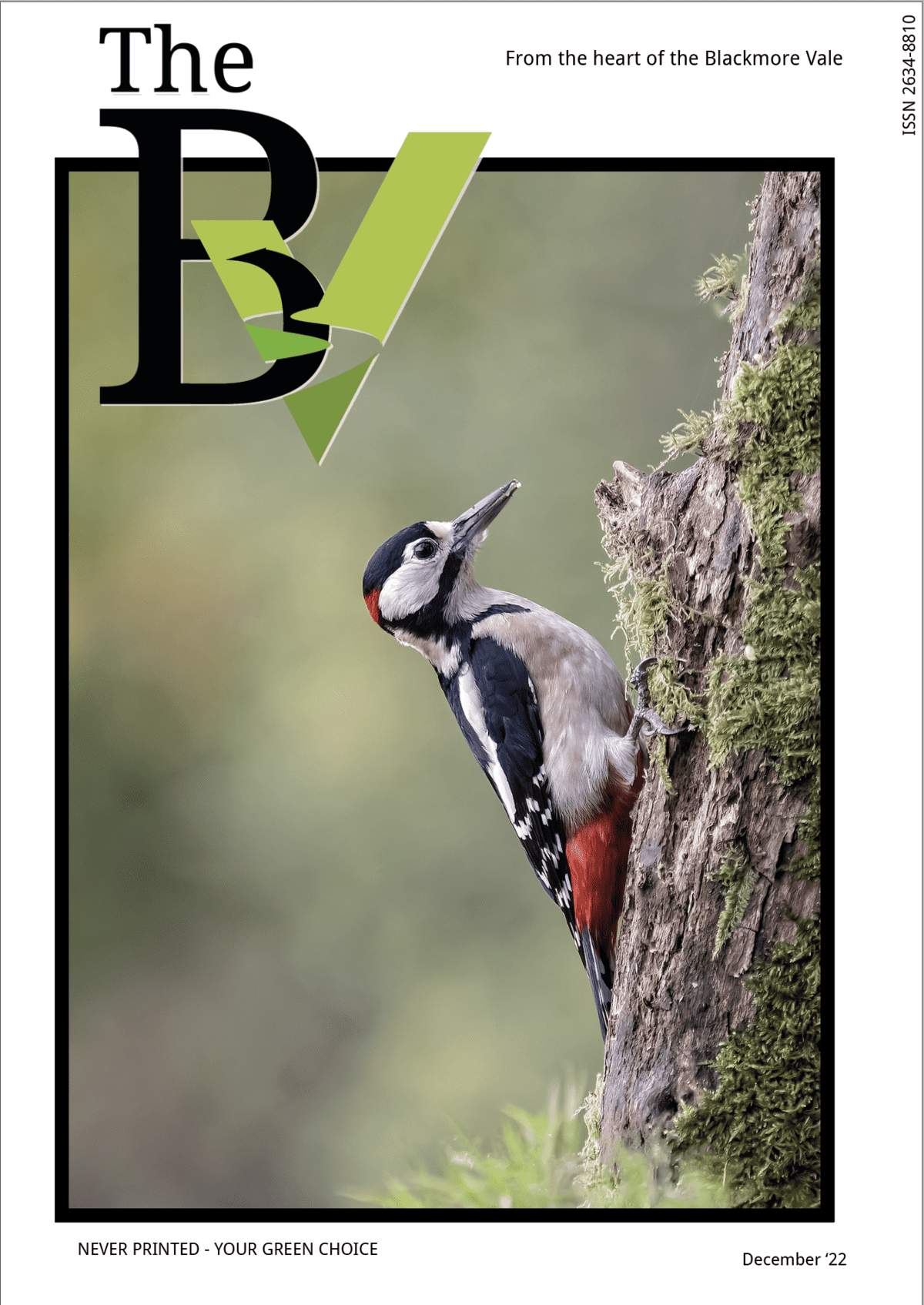 BV Magazine Issue 28 | December 22 - The BV