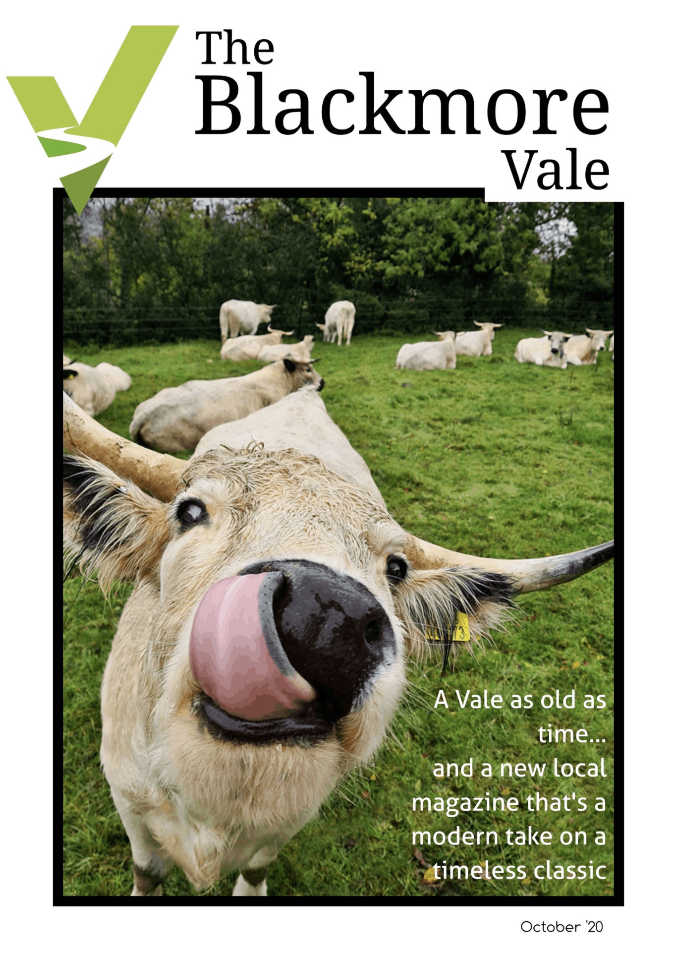 October edition of The Blackmore Vale is out now! - The BV
