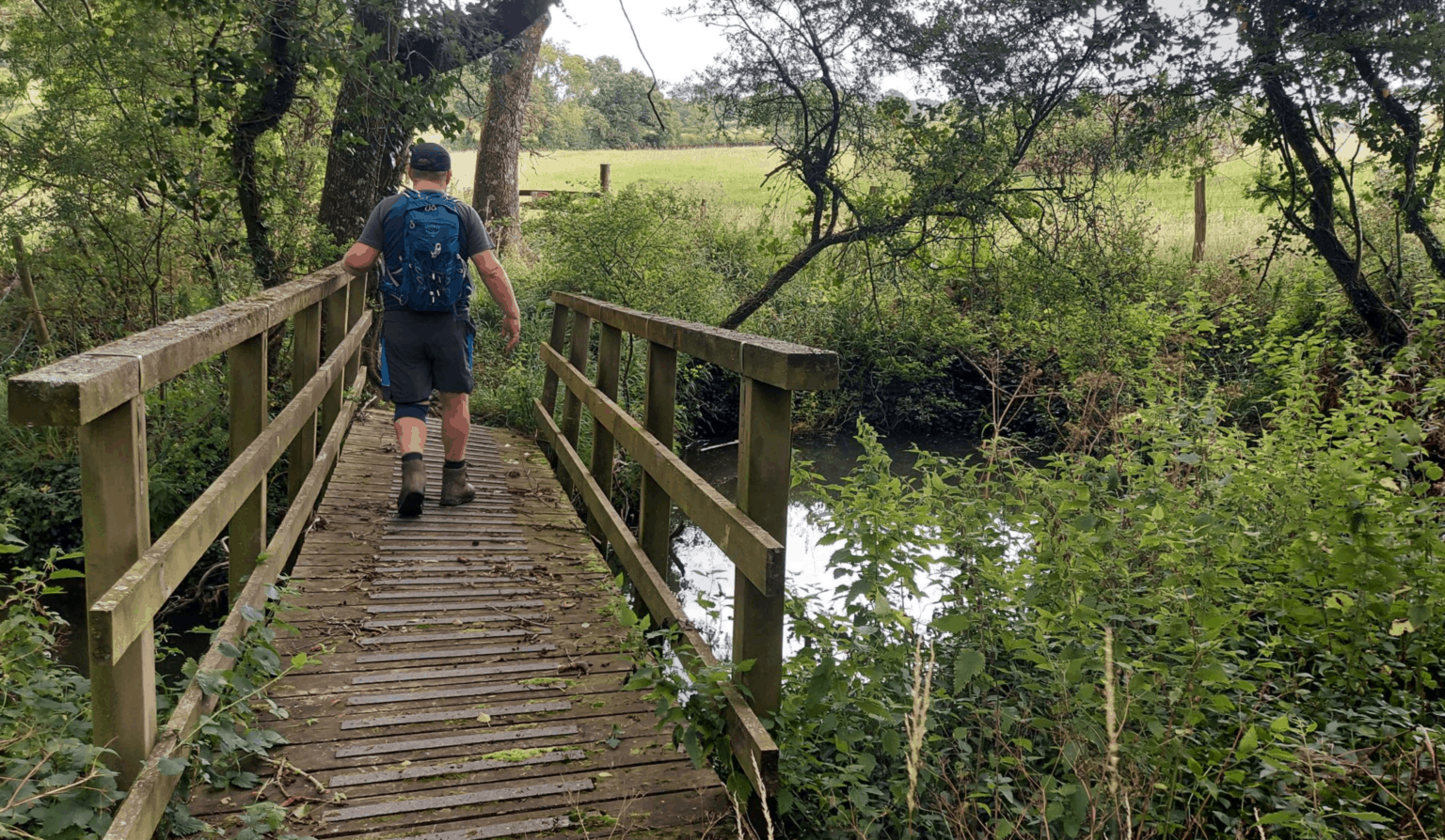 Batcombe & Chetnole Walk — 11.1-Mile Dorset Countryside Route