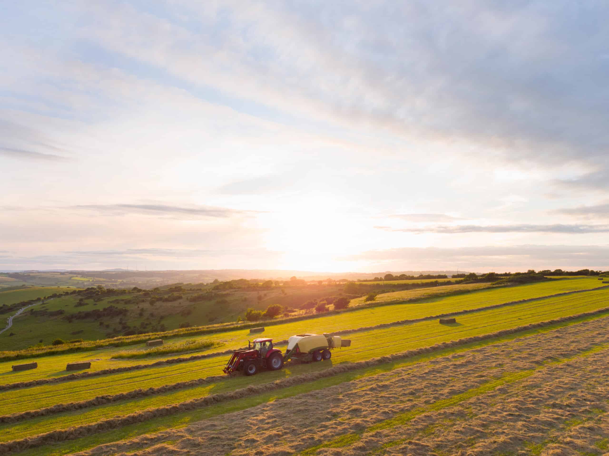 A new way to help local food businesses - The BV