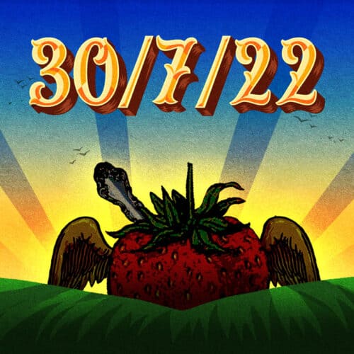 CHETTLE VILLAGE FETE - Dorset's Quirkiest - The BV