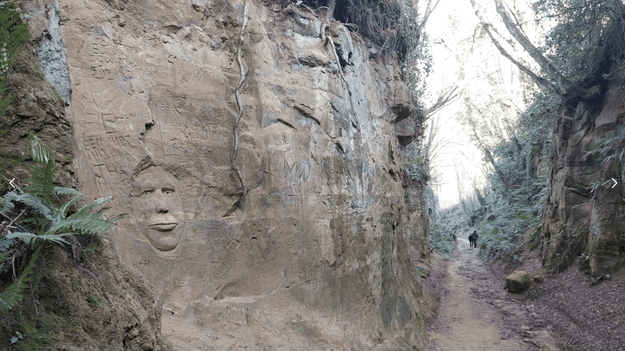 Walk the spectacular Hell Lane Dorset | 9 miles inc. Dorset holloways ...