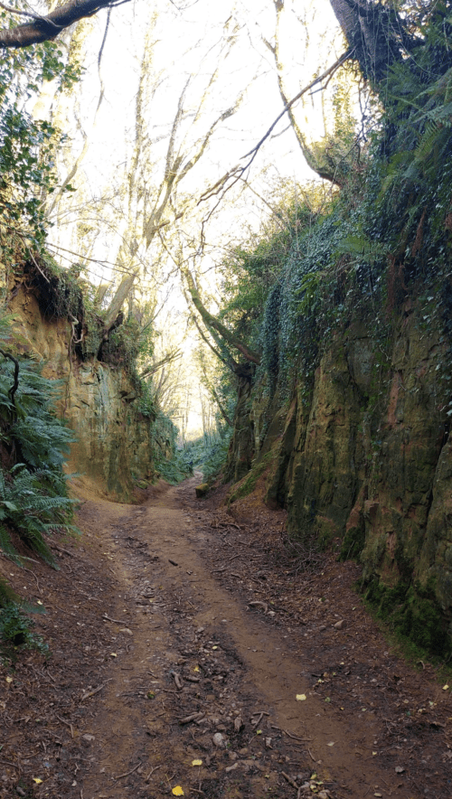 Hell Lane Dorset Walk Ancient Holloway Circular Route