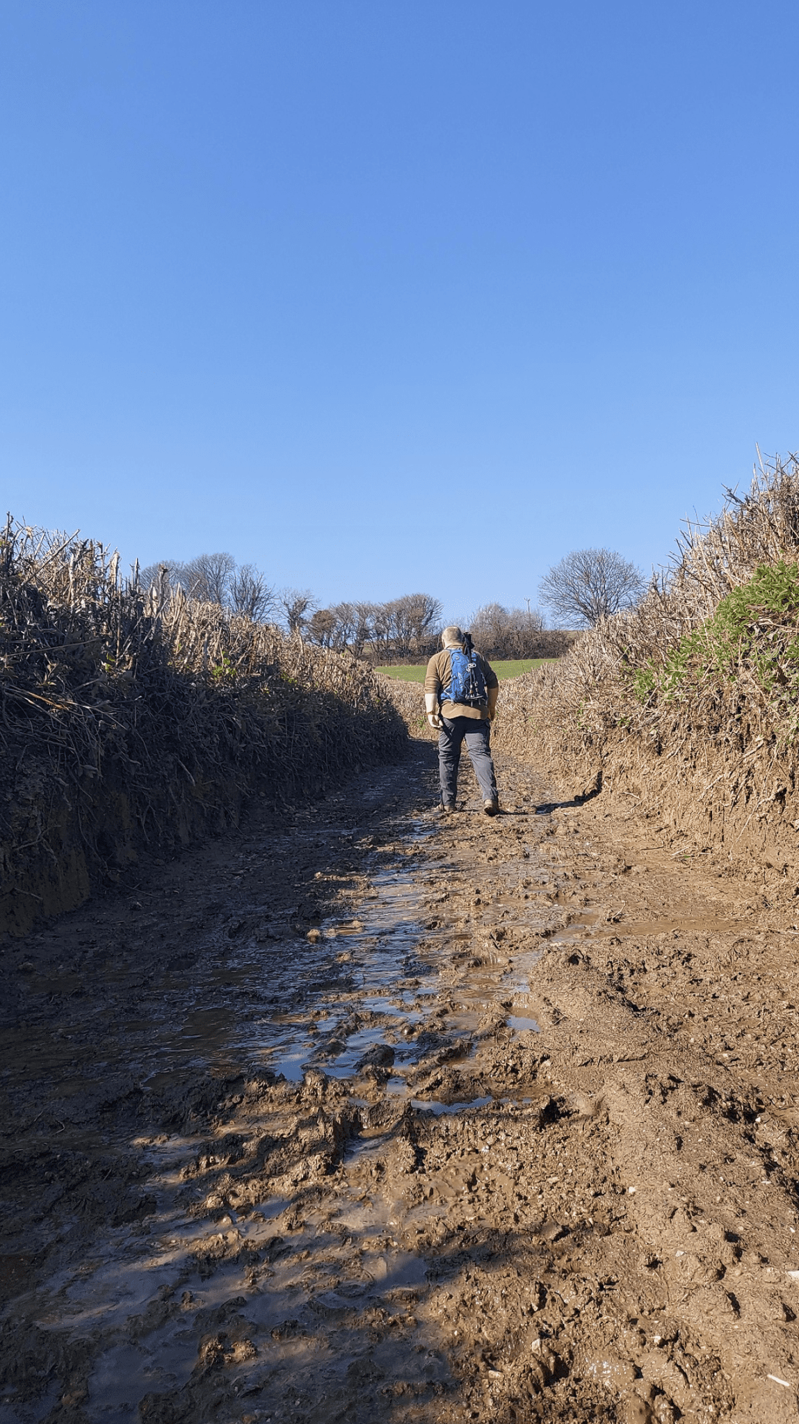 Hell Lane Dorset Walk Ancient Holloway Circular Route