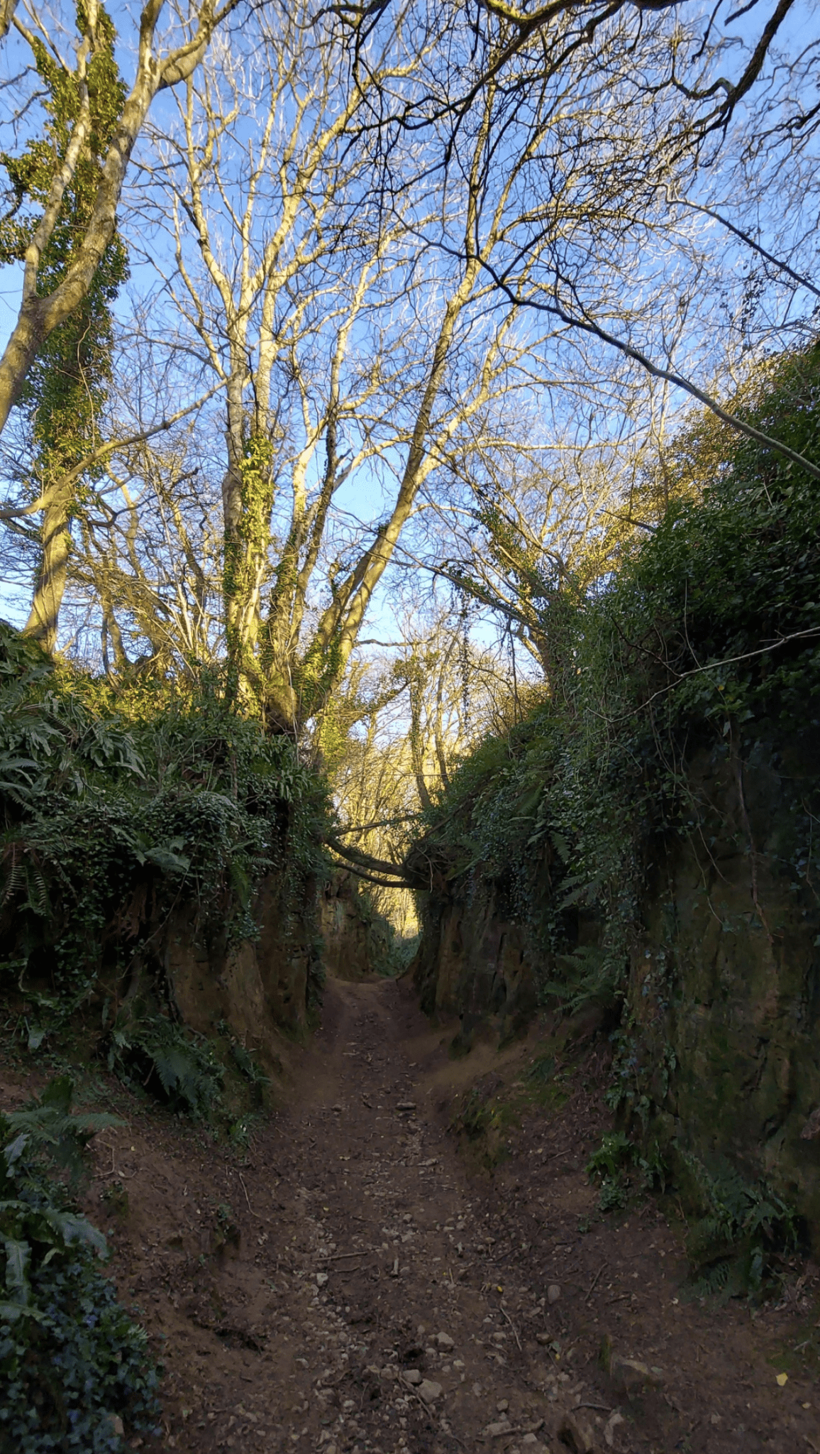 Hell Lane Dorset Walk Ancient Holloway Circular Route