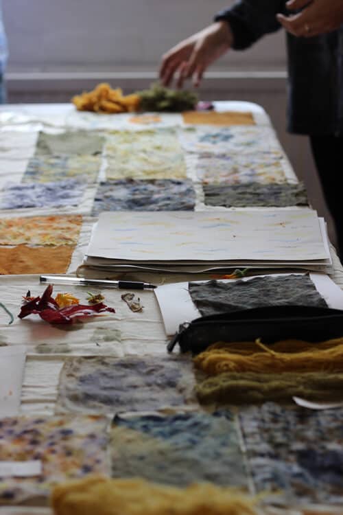 Natural dyes workshop - The BV