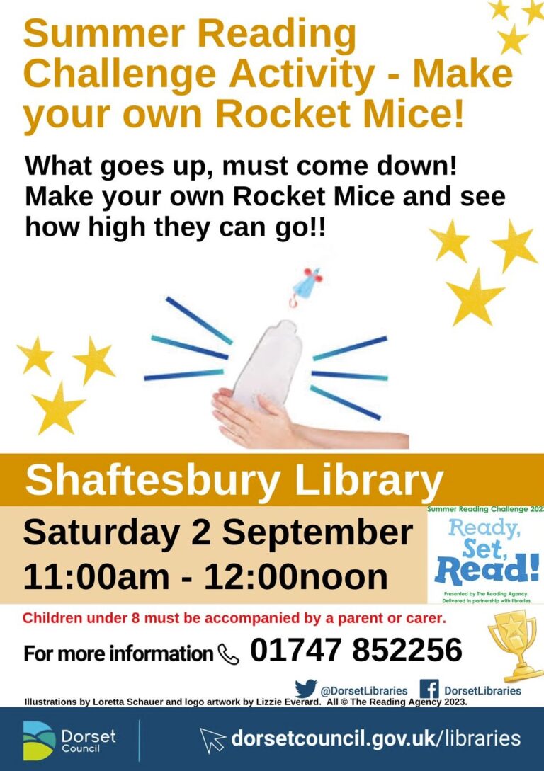 Make your own Rocket Mice! - The BV