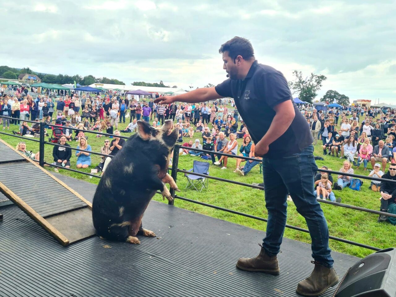 Dorset Spring Show debut: crafts, demos, and family fun - The BV