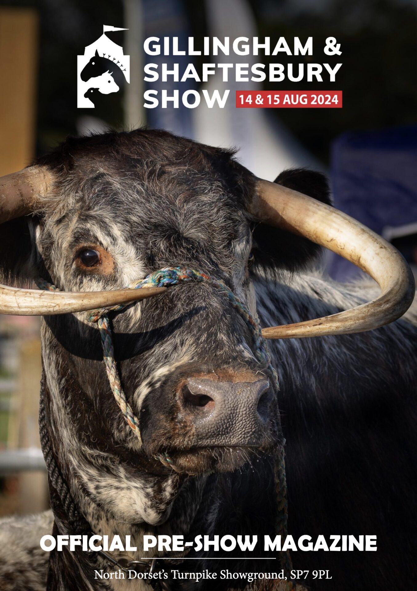 Official Gillingham & Shaftesbury pre-show magazine 2024 - The BV