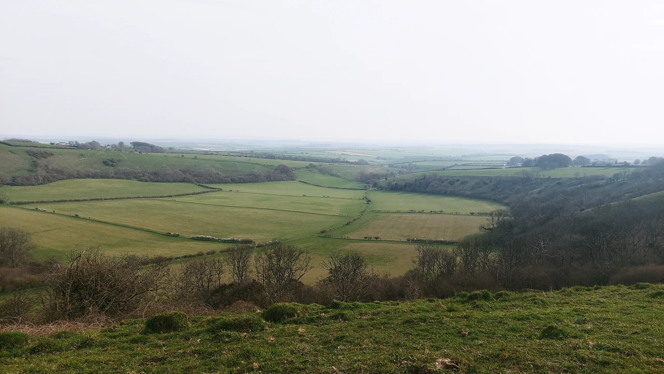 The best walk from DWT Lyscombe | 5.5 miles - The BV